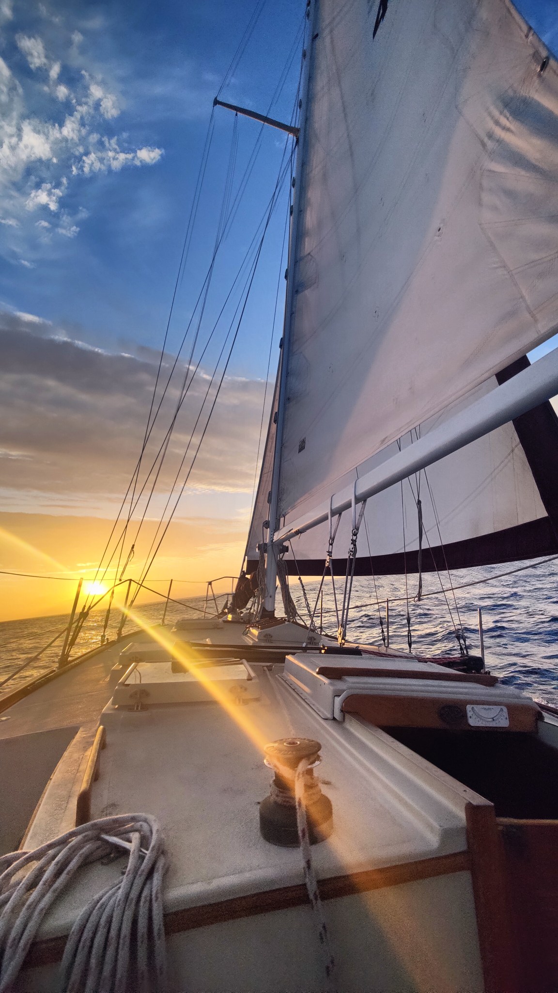 Erin Edwards – Journalist